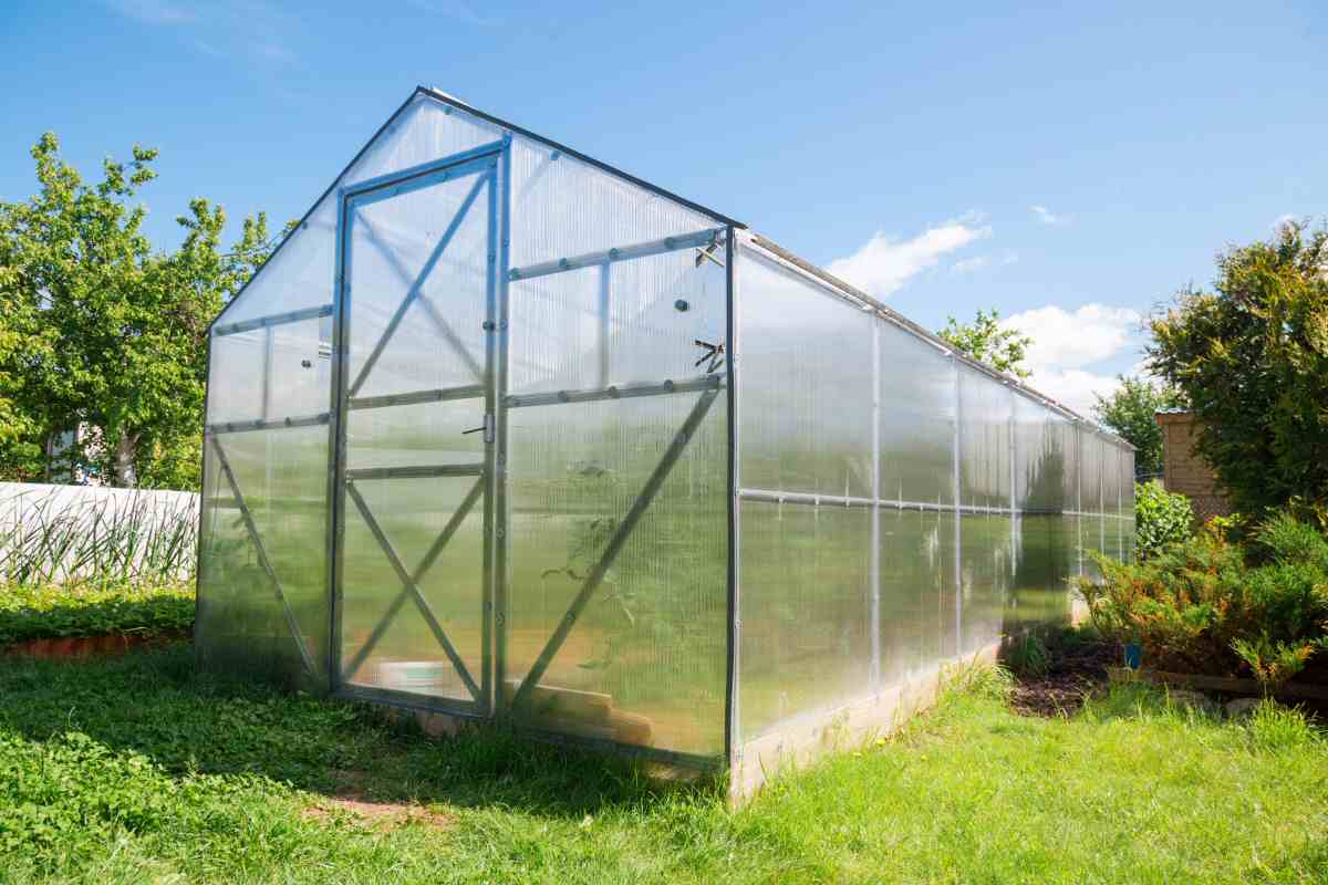 Clearchem: comprare scarti plastici, vendere plastica riciclata